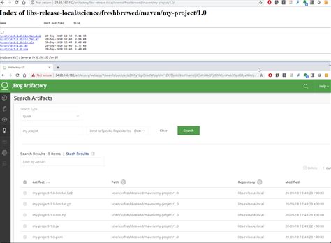 Let S Try Jfrog Enterprise Cicd