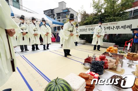 구로구 코로나19 극복 기원 ‘측백나무 제례 열어 뉴스1