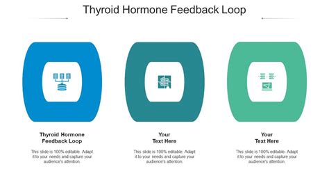 Thyroid Hormone Synthesis Animation Tutoring Clipart