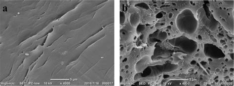 scanning electron micrograph of mip and non mip surfaces a nip b
