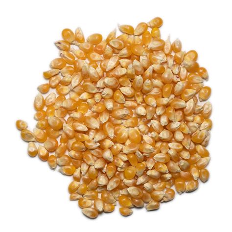 Organic Dry Corn Kernels Non Gmo Healthy Snack For Microwave Or
