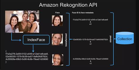 Top Reverse Image Search APIs For Your Projects