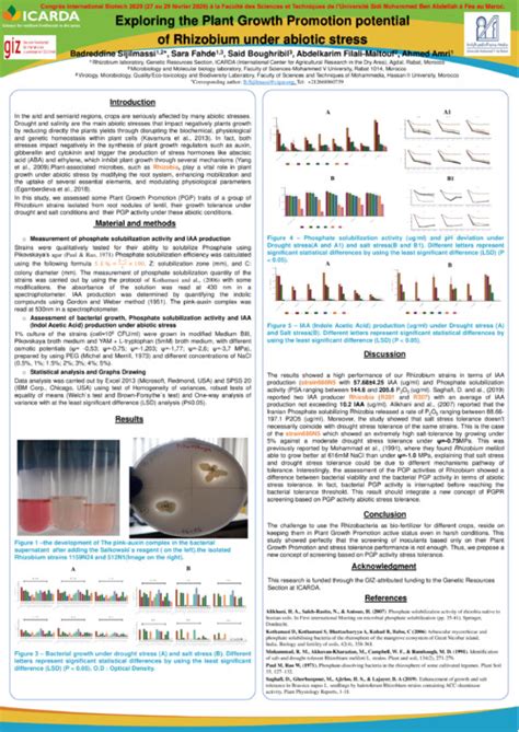 Exploring The Plant Growth Promotion Potential Of Rhizobium Under
