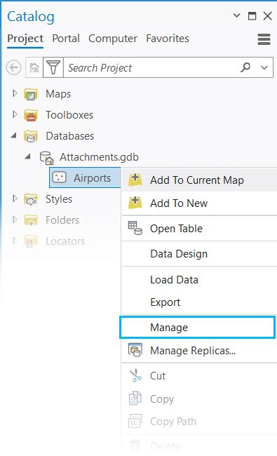 Enable Attachments—arcgis Pro Documentation
