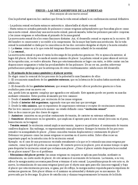 Freud Las Metamorfosis De La Pubertad Pdf Libido Placer
