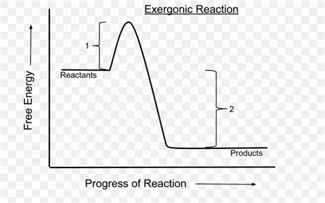 Exergonic Reaction Endergonic Reaction Chemical Reaction Exergonic