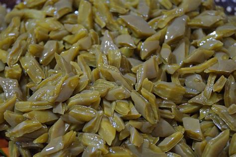 무료 이미지 선인장 요리 식품 생기게 하다 수확고 농업 문화 채식주의 자 음식 멕시코 인 지역의 꽃 피는 식물 상품 해바라기 씨 잔디 가족 음식