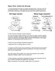 WEEK LabFermintationMORAN Pdf Course Hero