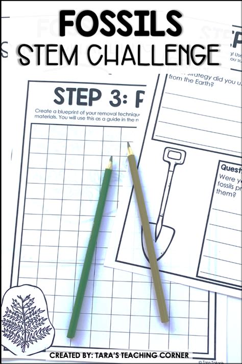 Fossils Stem Challenge Earth And Space Science Stem Activities