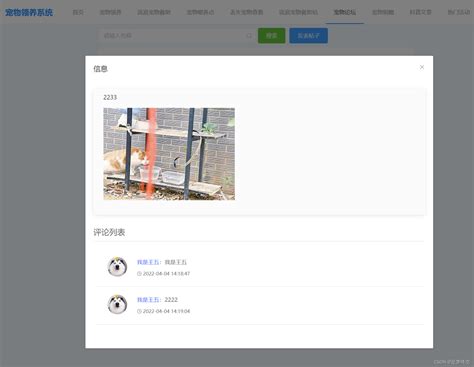 java毕业设计091—基于java springboot vue的宠物领养系统 源代码 数据库 14000字论文 开题 基于java的流浪