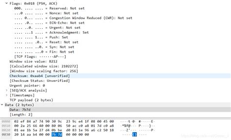 Wireshark抓包分析tcp三次握手 包头包体数据分析和传输协议总结抓包分析下可以看到握手后的应用层的协议信息 Csdn博客