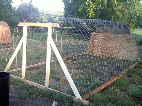 Our Hoop Coops Backyard Chickens Community