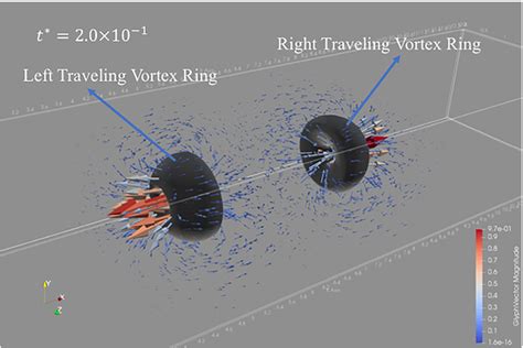 Visualization Of The Three‐dimensional Velocity Vector Field Associated