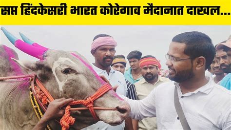 कोरेगाव मैदानात सप्तहिंद केसरी भारत दाखल Youtube
