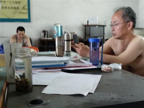 夏日單位里的午休 每日頭條