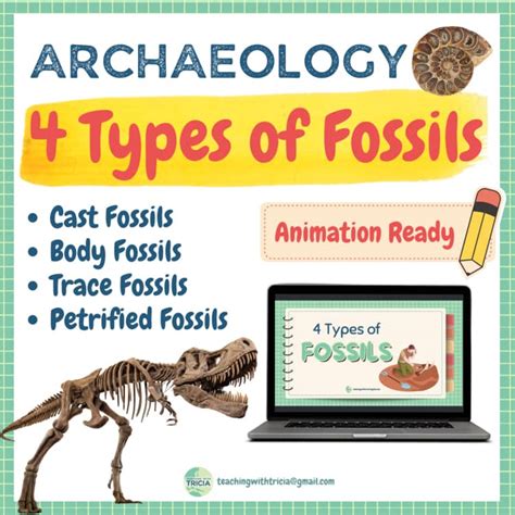 Types Of Fossils Google Slides Cast Body Trace And Petrified Fossils