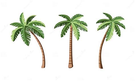 Set Of Different Palm Trees In Cartoon Style Vector Illustration Of