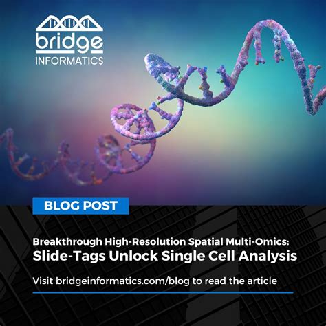 Bridge Informatics On Linkedin Spatial Omics Spatialtranscriptome