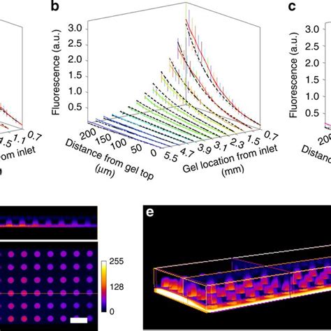 Experimental And Computational Characterization Of Gradient Generation Experimental And Computational Characterization Of Gradient Generation