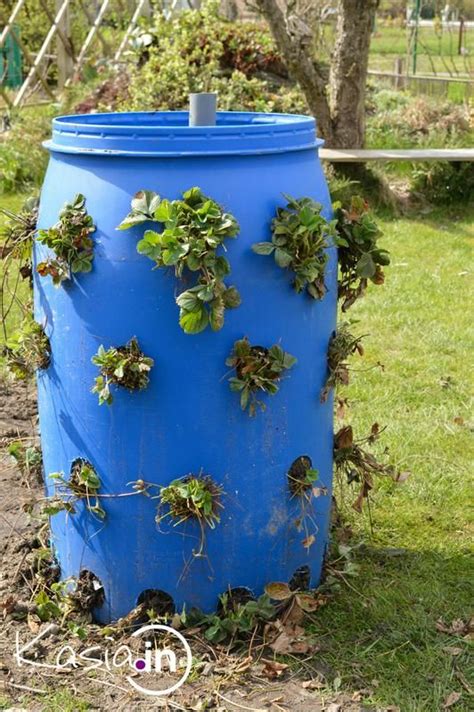 truskawki w beczce jak sadzić Vegetable garden diy Diy home decor