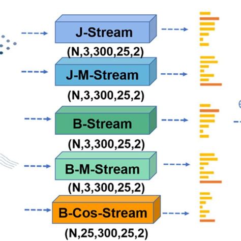 the architecture of the multi stream network the structure of each