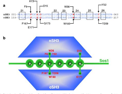 Figure 1 From Structural Basis Of The Differential Binding Of The Sh3 Domains Of Grb2 Adaptor To