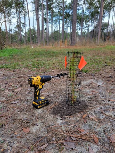 20 Tree Seedling Protectors Heavy Vinyl Etsy