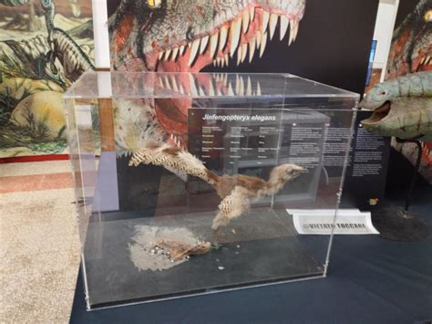 Pennuto By Scorpione87 On Deviantart