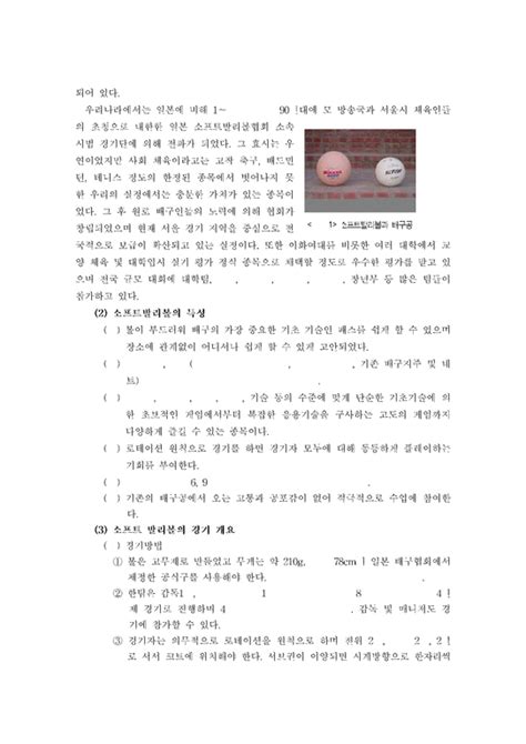 체육수업 뉴스포츠 종목을 통한 체육교육 사회과학