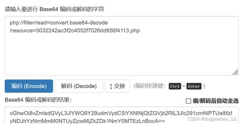 过滤字符和绕过案例invalid Option Prefix Csdn博客