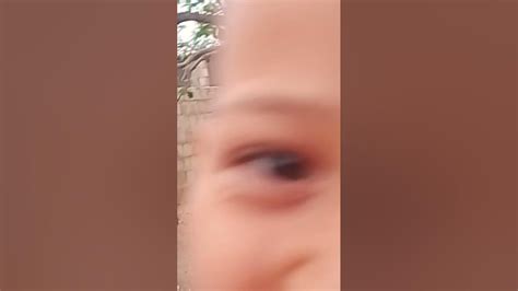 O Sol Youtube