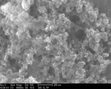 Sem Micrograph Of Platinum Cobalt Nanoparticles Deposited On An