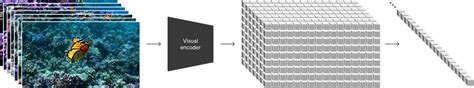 Factorial Funds Under The Hood How Openais Sora Model Works