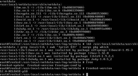 Netdata Is Crashing On Freebsd Plugin During Startup · Issue 7010 · Netdatanetdata · Github