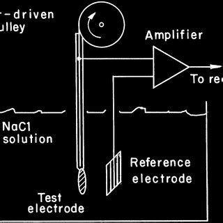 Pdf Motion Artifact From Electrodes And Cables