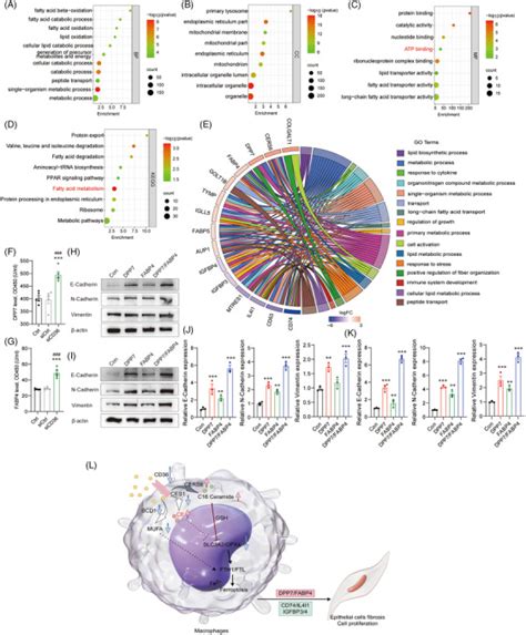 Integrated Multi‐omics Profiling Landscape Of Organising Pneumonia Pmc