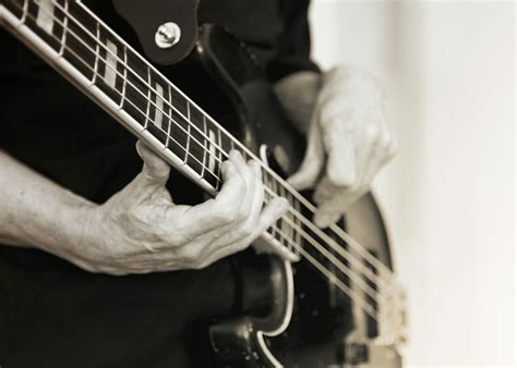 Bass Poster Picture Metal Print Paint By Rijis Art Displate