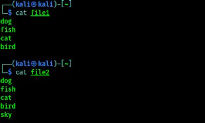 Сравнение файлов в терминале Kali Linux