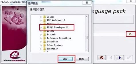 plsql developer 12软件安装包下载及安装教程 哔哩哔哩