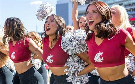 Wisconsin Badgers Vs Washington State Cougars 9923 Free Pick Ncaa Odds