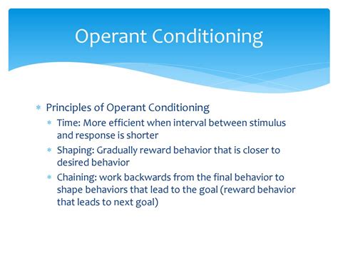 Psychology Wichs Mr Leonoff Ppt Download