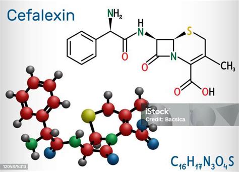 세팔렉신 세팔렉신 C16h17n3o4s 분자 그것은 베타 락탐 살균 활성을 가진 1 세대 세팔로스포린 항생제입니다 구조적 화학 식 및 분자 모델 0명에 대한 스톡 벡터 아트