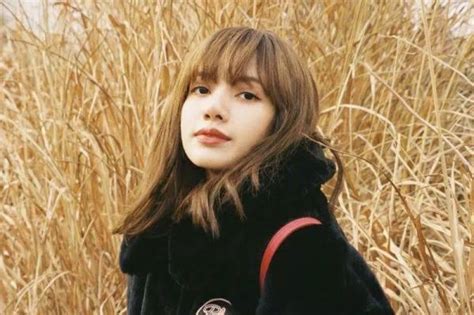 Lalisa Manoban Vs Sn História Escrita Por Maikoul Spirit Fanfics E