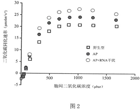 题目 请回答下列有关光合作用的问题 1 在植物的叶肉细胞中存在着图1所示的代谢过程 在光照条件下 CO2被固定生成C3过程中 需要 不