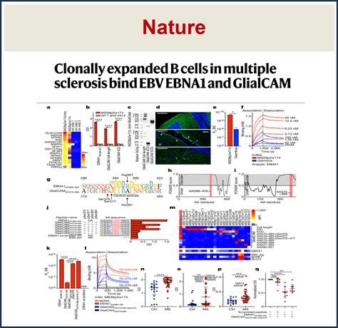 科研动态 上海抗码芯瑞生物科技有限公司