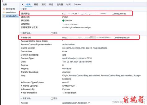vue请求代理查看真实地址 前端哥