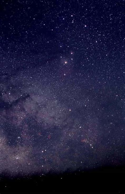 好きな星座「さそり座」