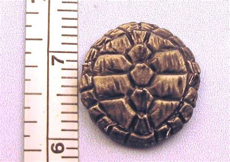 Box Turtle Shell Shield Forge Of Ice