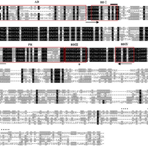 Multiple Amino Acid Sequence Alignments Of Pseils And Ein3 Arabidopsis