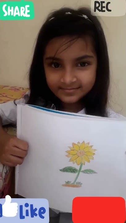 Drowing Class Std 1 2021 Youtube